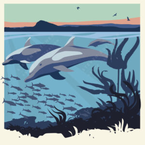 Dolphins – Steven Butcher Art & Illustration