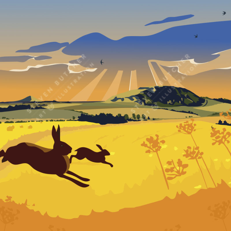 Greetings Cards – Steven Butcher Art & Illustration
