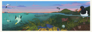 Panoramic Prints – Steven Butcher Art & Illustration